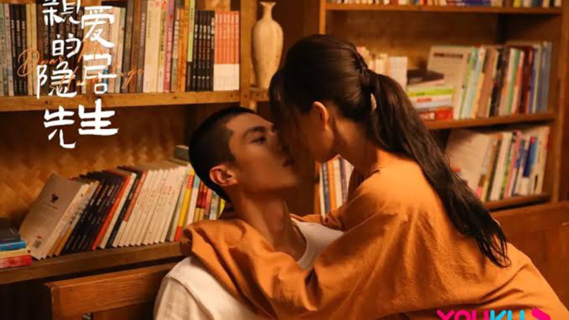 Resenha do dorama: Dear My Hermitage / Dear Mr. Recluse - koreanny.com